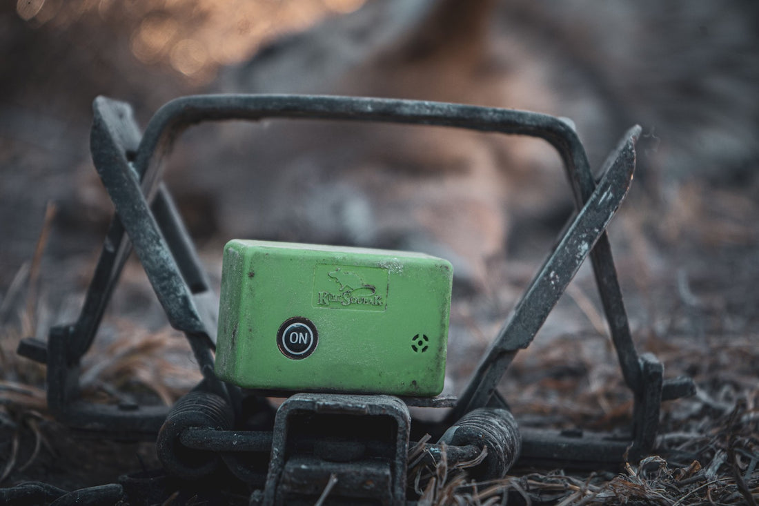 Kill Squeak – Slock Master